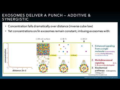 The Power of Exosomes Diagnostic Applications and Beyond