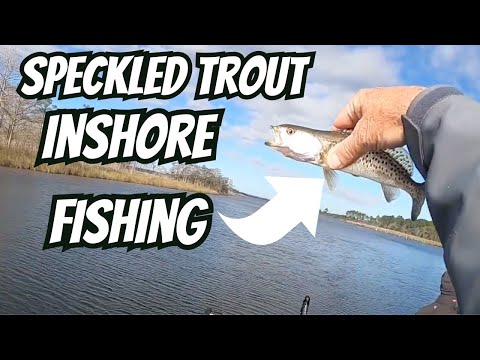 Speckled Trout Inshore Fishing 🎣 Pensacola, FL