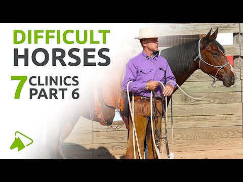 How to Train Difficult Horses | 7 Clinics with Buck Brannaman | wehorse