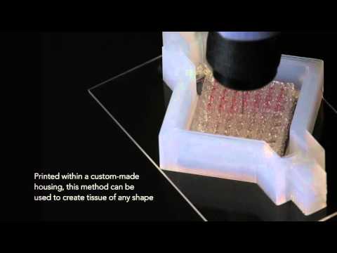 Creating 3-D tissue and its potential for regeneration – Harvard Gazette