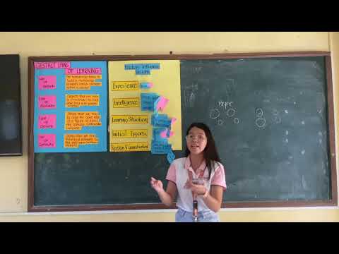 Gestalt Insight Learning Theory _ Abelgas & Ancot