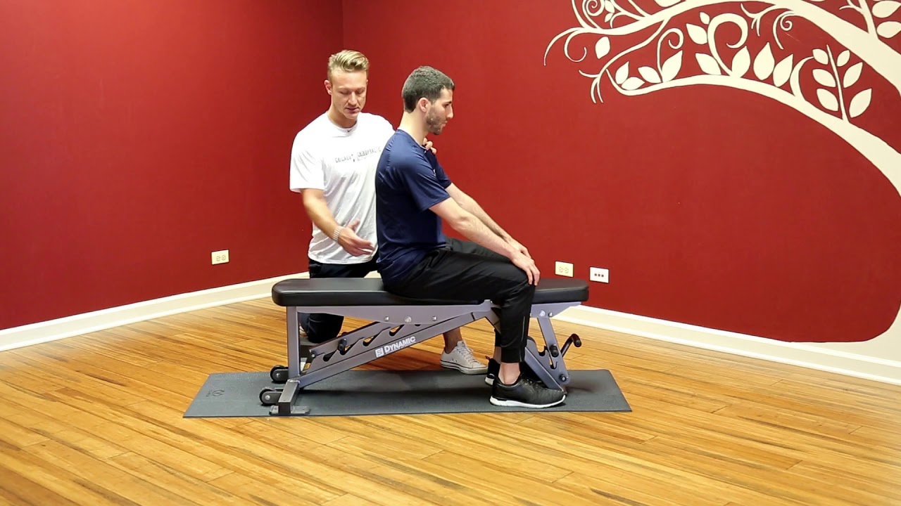 Lumbar Spine Segmentation (Seated)