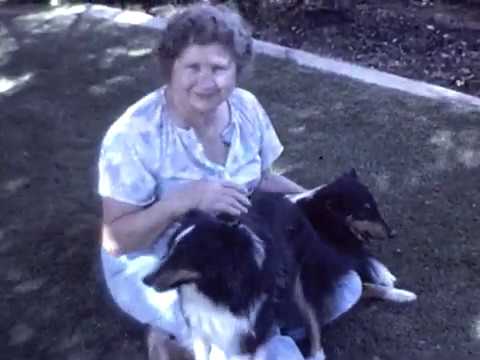 Grandma's Vintage Home Movies #80: Hijinks in the 80s and out shelties