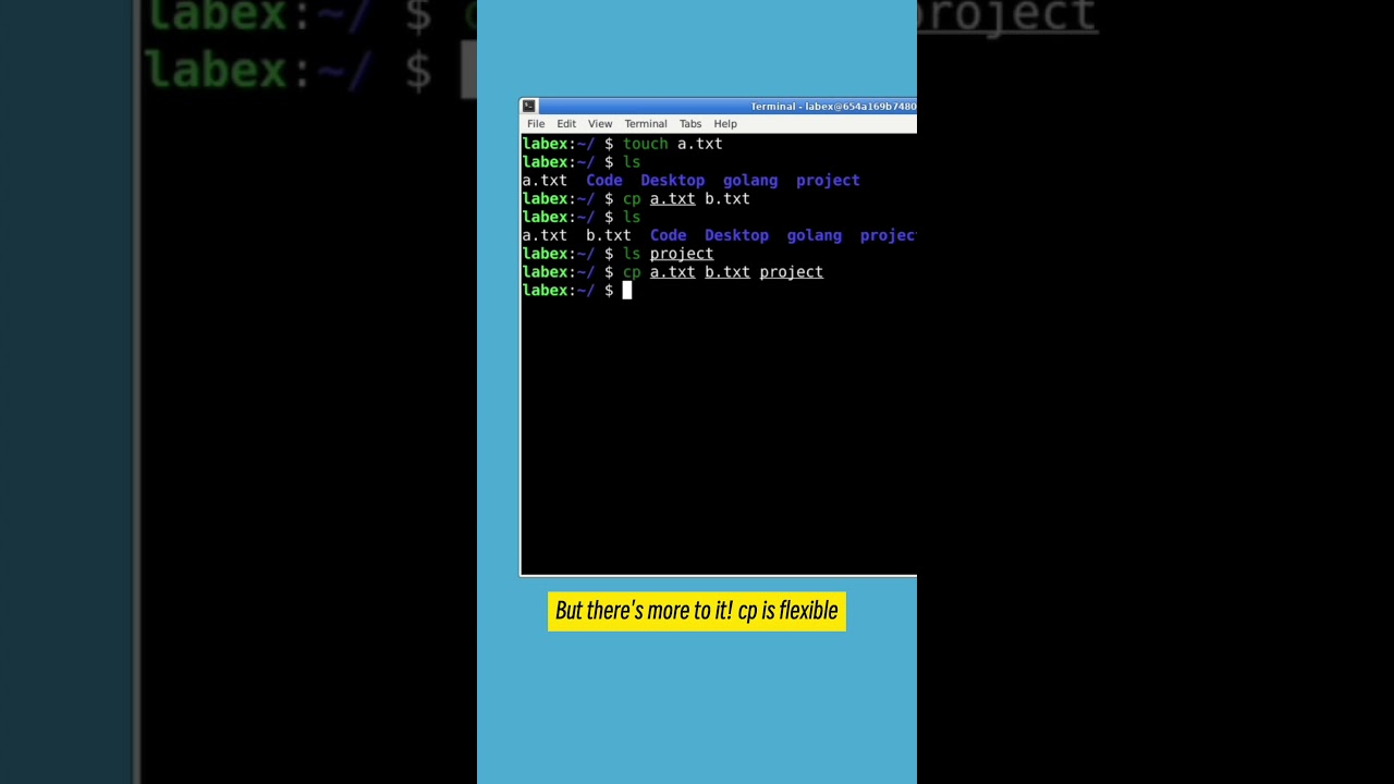 Practice Linux Commands 03 - cp #commandline #linuxcommands #linux