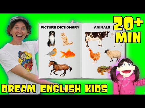 Animals Picture Dictionary And More | Dream English Kids