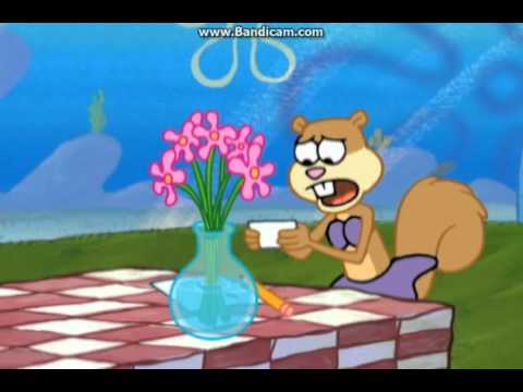 Flowers for Sandy SpongeBob Video