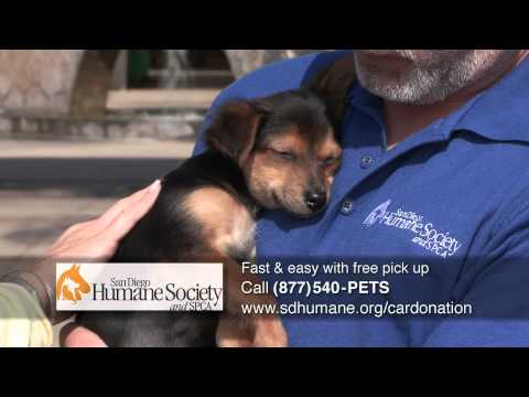 San Diego Humane Society Car Donation ad