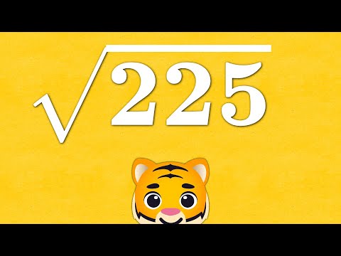 Square Root 225
