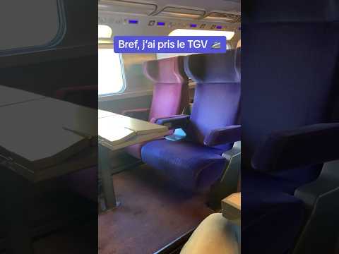 Bref, j’ai pris le TGV 🚄 #shortswithzita #shorts #tgv
