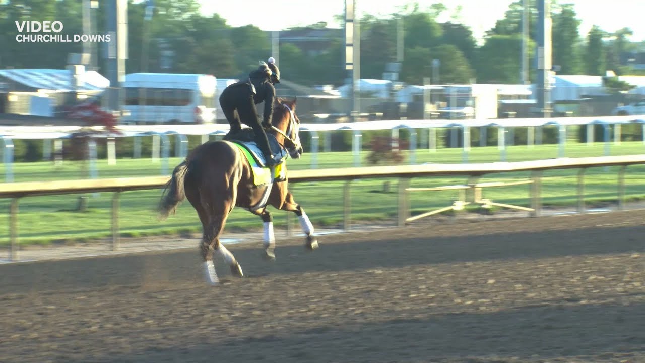 Kentucky Derby 2026 | These are the horses taking the field