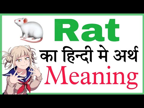 Rat ka arth | Rat ka meaning | Rat ka hindi | Rat ka english