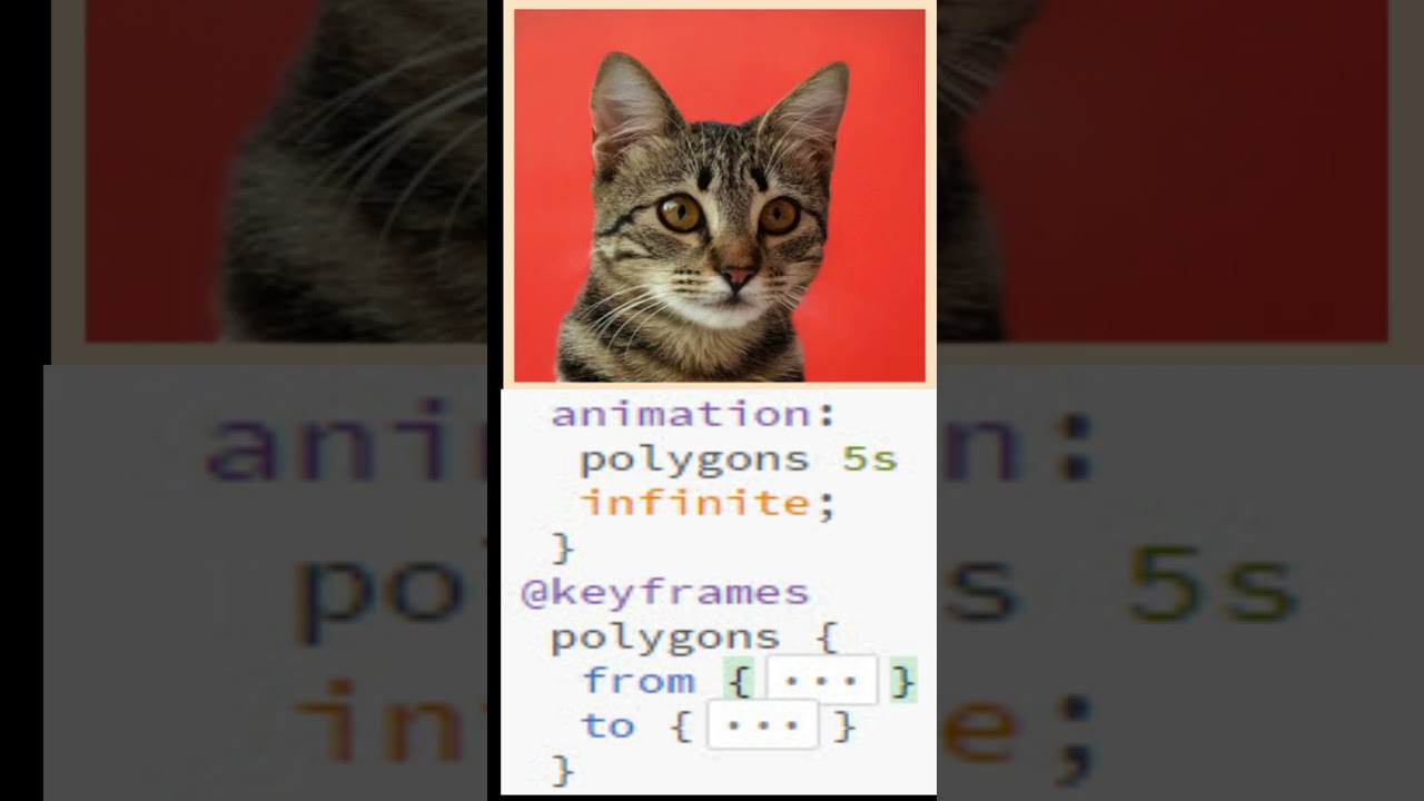 CSS clip path animated edge