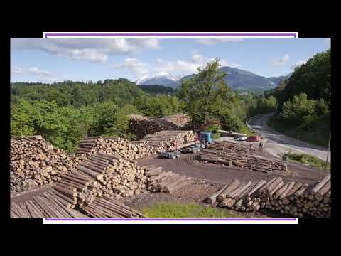 MS ESS3 5   Video