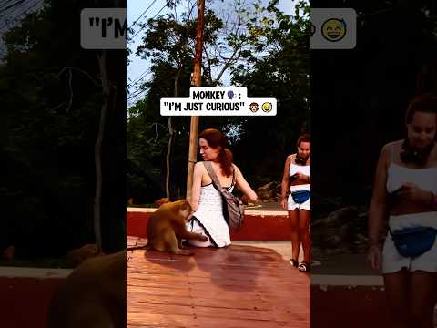 Funny monkey #foryou #funny #animallife #monkey