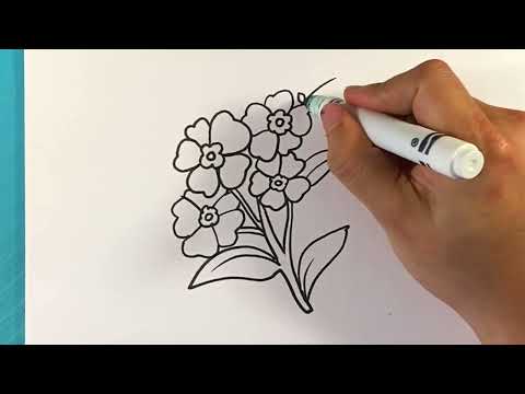 EASY how to Draw a FLOWER - Forget Me Not