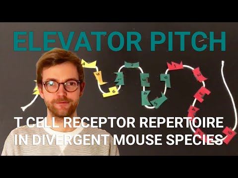 Moritz Peters - Discovering the T cell Receptor Repertoire in divergent mouse species