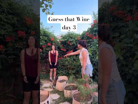 Guess that wine day 3