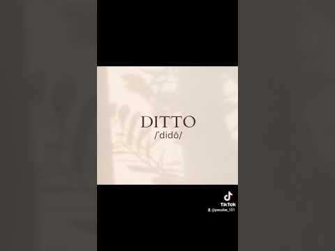 DITTO | Words of the day #vocabularylesson #vocabularywords #wordoftheday #fypã‚· #fyp #ditto