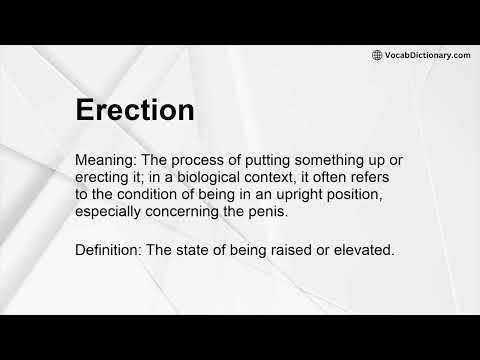 Erection Meaning
