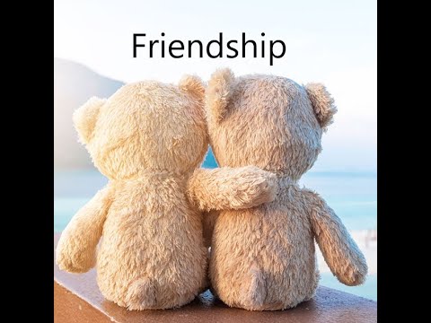 Describe your friendship with flowers | 5 flowers that symbolize friendship
