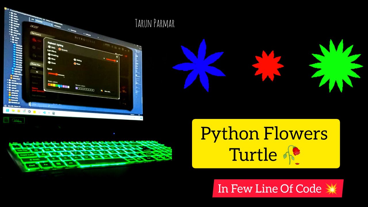 Python Turtle Full Tutorial | Python Flower Turtle | Python Turtle Graphics Tutorial