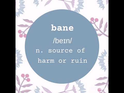 A word a day keeps the dictionary away - bane