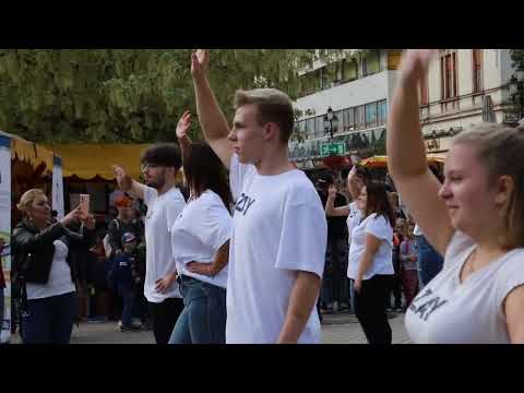 Flash mob a Mini Tirpák Fesztiválon