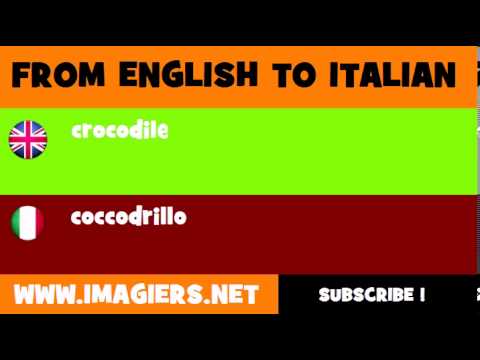 How to say crocodile in Italian