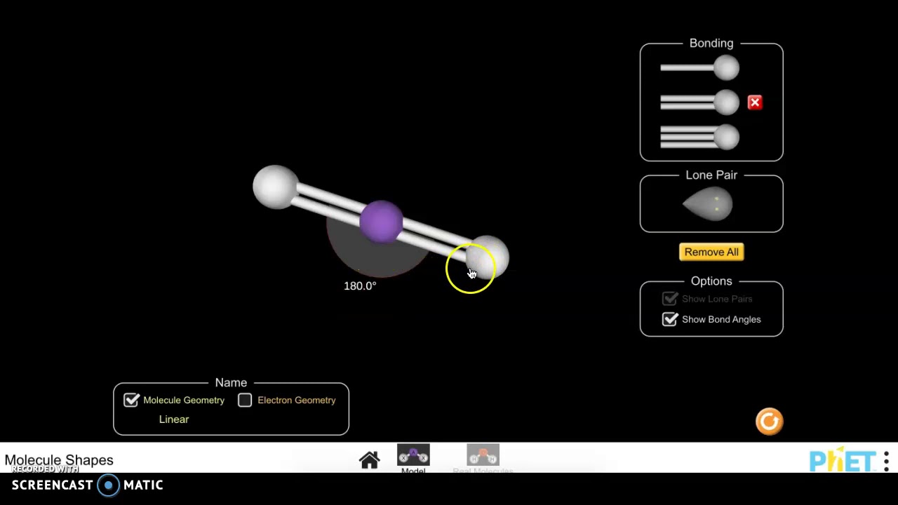 VSEPR Theory Virtual Lab