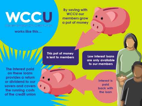 What is a credit union?