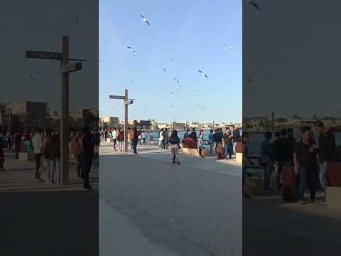 Abra Station #dubai #abra #deiradubai #goldsouq #youtubeshorts #youtube #dubailife #mylife
