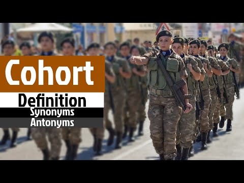 Cohort Pronunciation | Cohort Definition | Cohort Synonyms | Cohort Antonyms