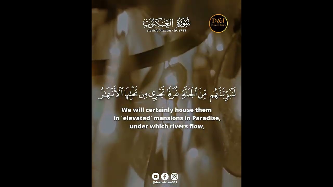 Surah Al Ankabut Chapter 29 Verses 57 to 58