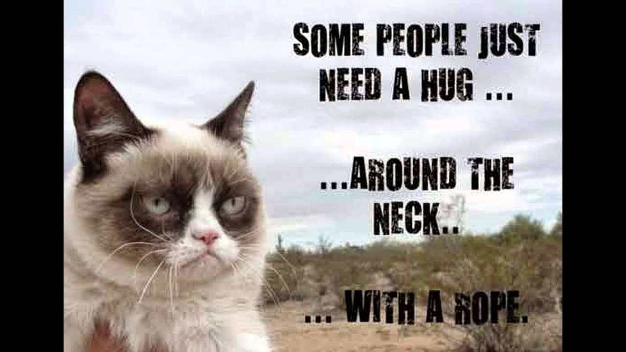 Grumpy Cat - Funny - Quotes