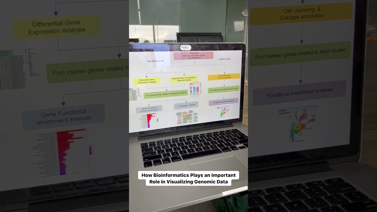 How Bioinformatics Plays an Important Role in Visualizing Genomic Data