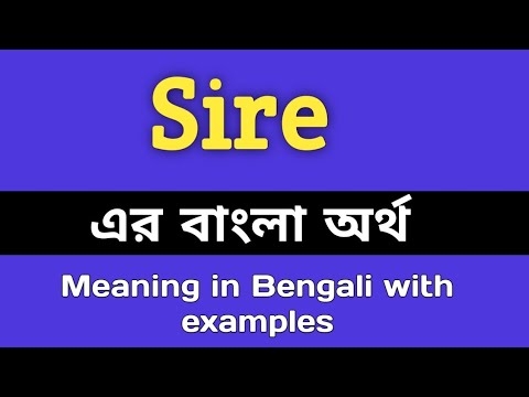 Sire Meaning in Bengali || Sire শব্দের বাংলা অর্থ কি || Bengali Meaning Of Sire
