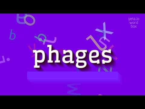 How to say "phages"! (High Quality Voices)