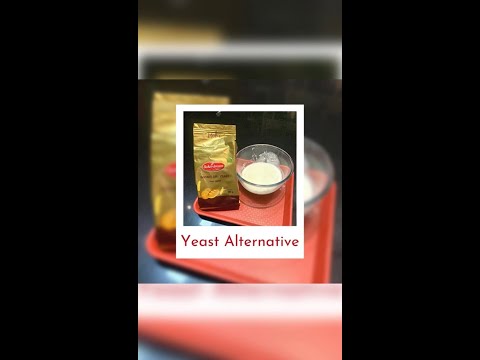 Are you out of Yeast or want to avoid using it? Here’s the substitute for you!