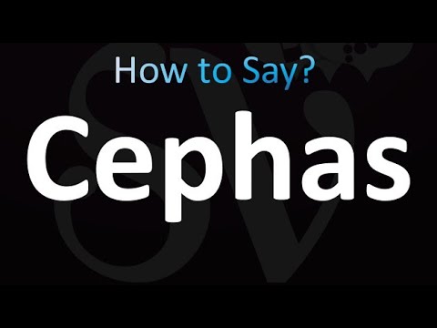 How to Pronounce Cephas (correctly!)