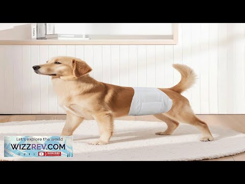 VEVOR Disposable Male Dog Diapers Super Absorbent Male Dog Wraps M 144 Review