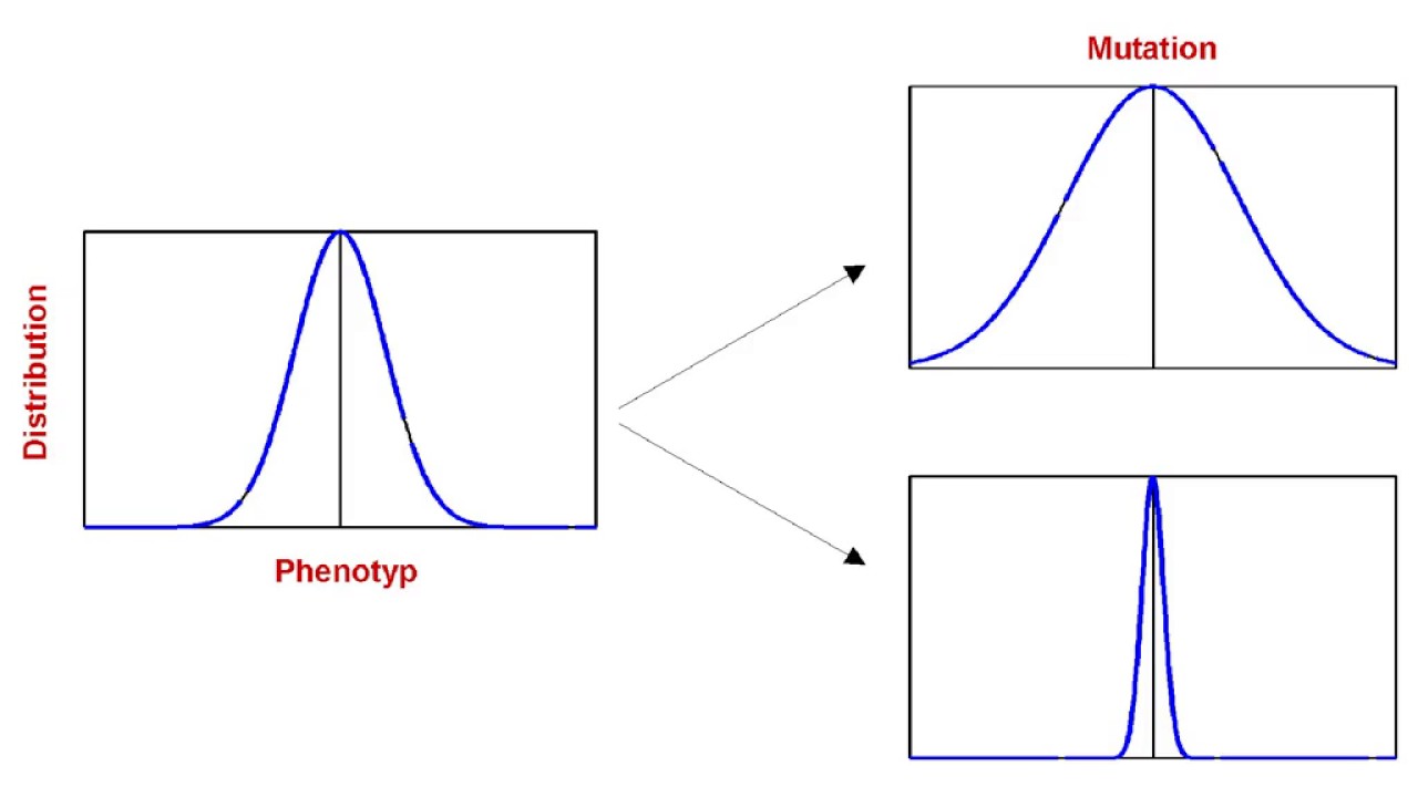 Genetic Algorithm for variable selection