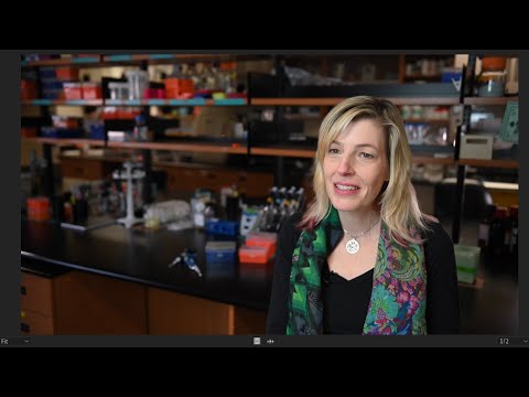 Meet Amanda Moehring, PhD | Discover the Graduate Program in Neuroscience