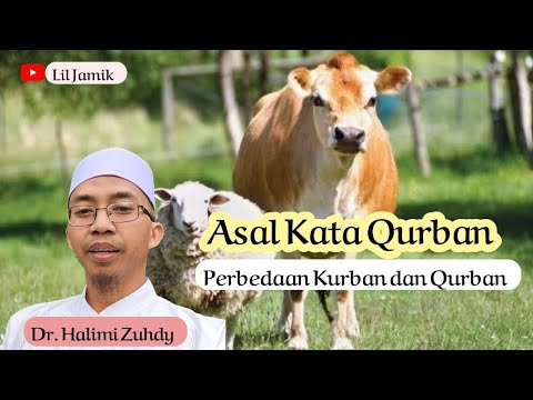 Mengulas Asal Kata Kurban dan Idul Adha, dan Perbedaan kata Kurban dan Qurban.