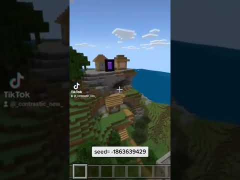 Minecraft seed = (Village with 4 Blacksmiths and God Loot)