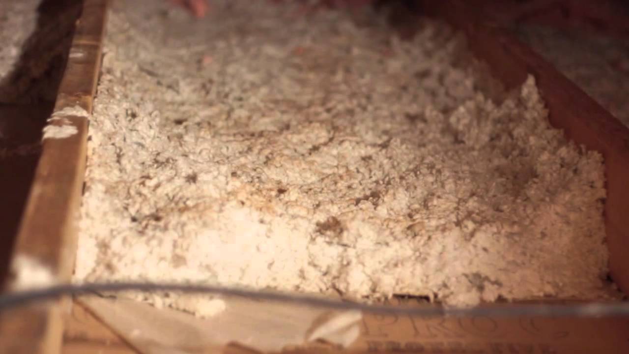 Why Remove Attic Insulation? | Insta-Insulation