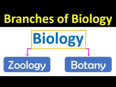 Branches of Biology | Main biology branches
