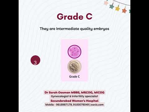 4 Grades of Embryo | Secunderabad Fertility Hospital