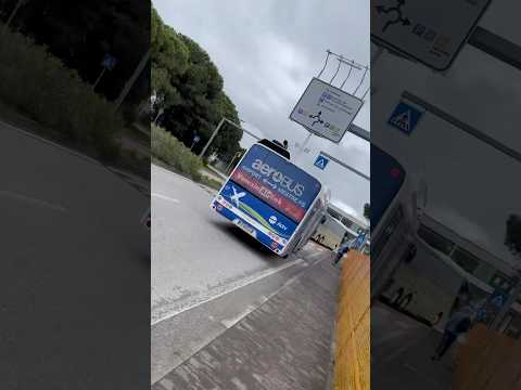 Travel from Venice Mestre to Marco Polo Venezia airport via public transport #italy #travel #shorts