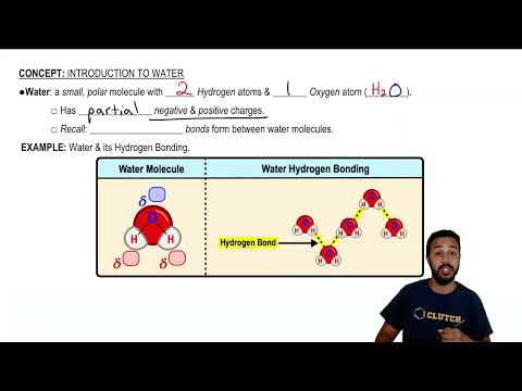 Introduction to Water in 2 mins - Water and Life, High School Biology Lesson