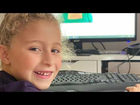 What is the Online Telehealth System?